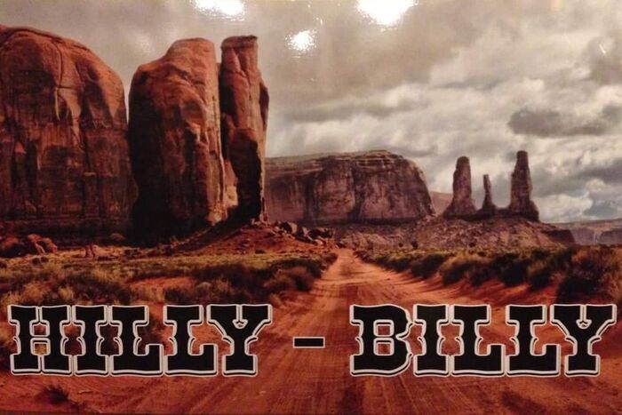 Hilly Billy - Linz | Austrian cuisine near me | Book now
