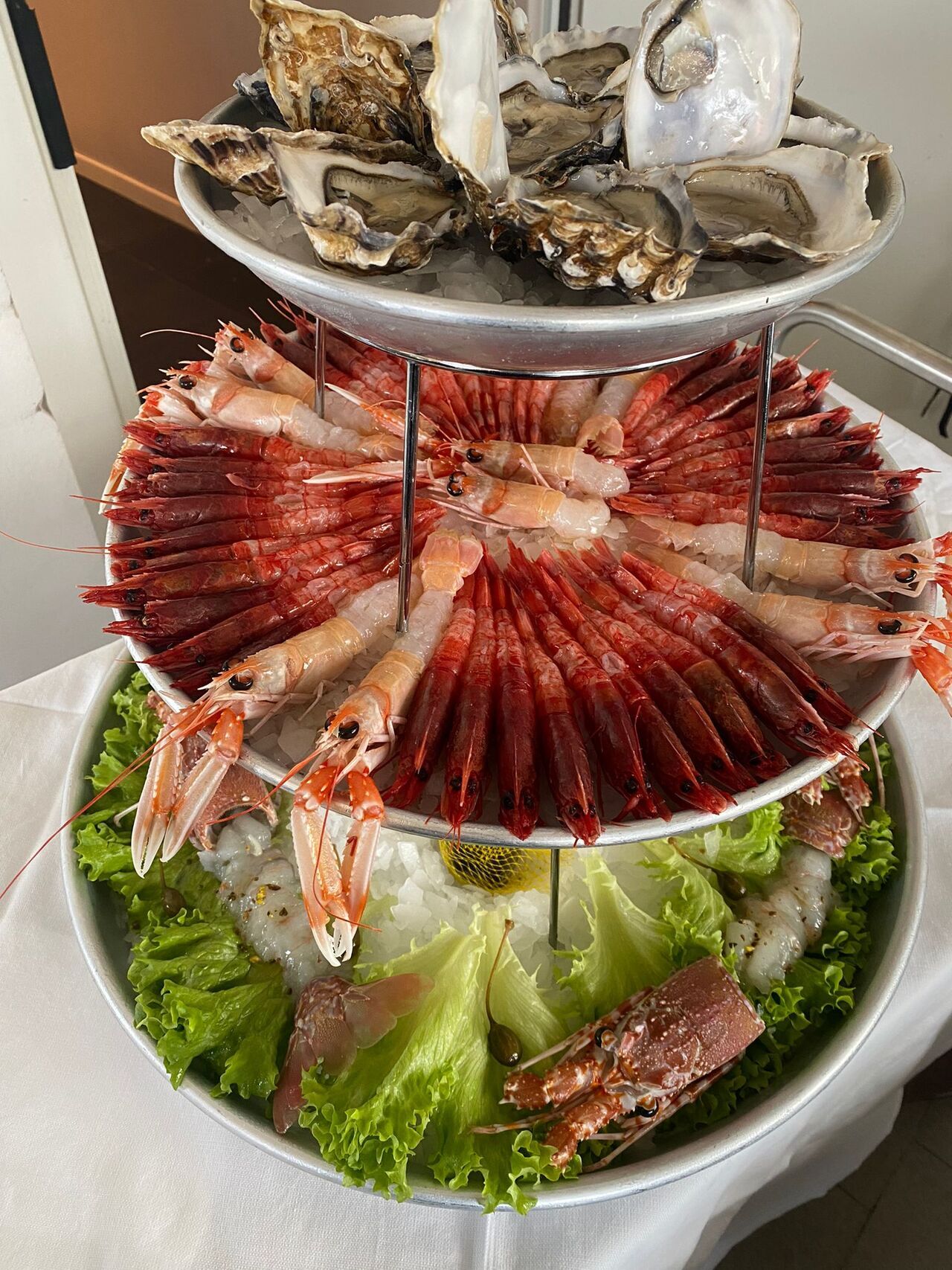 AIDA RESTAURANT - Santa Maria di Zevio | Italian cuisine near me | Book now