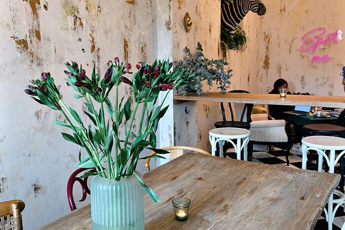 SPOT Bistro any Bistro Near Me Book Now SPOT Bistro any Bistro Near Me Book Now