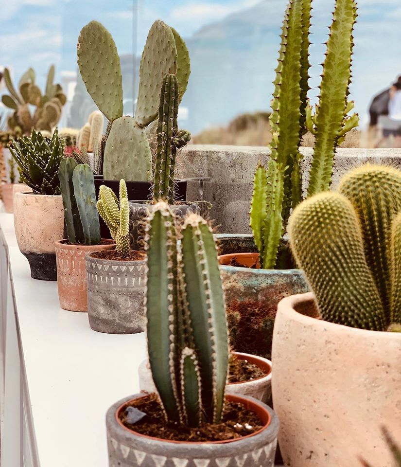 Romando Beach Club - Bar Vila do Conde | Mediterrânea & Portuguesa ...