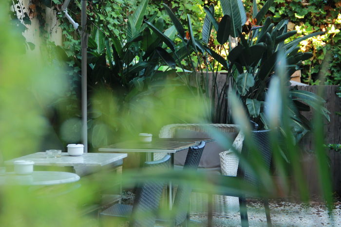 Botànic bar café - Restaurant Barcelona | American, International ...