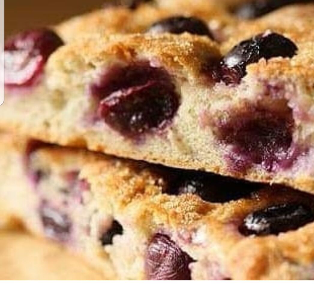 FORNO LENCI - LUCCA | Italian cuisine near me